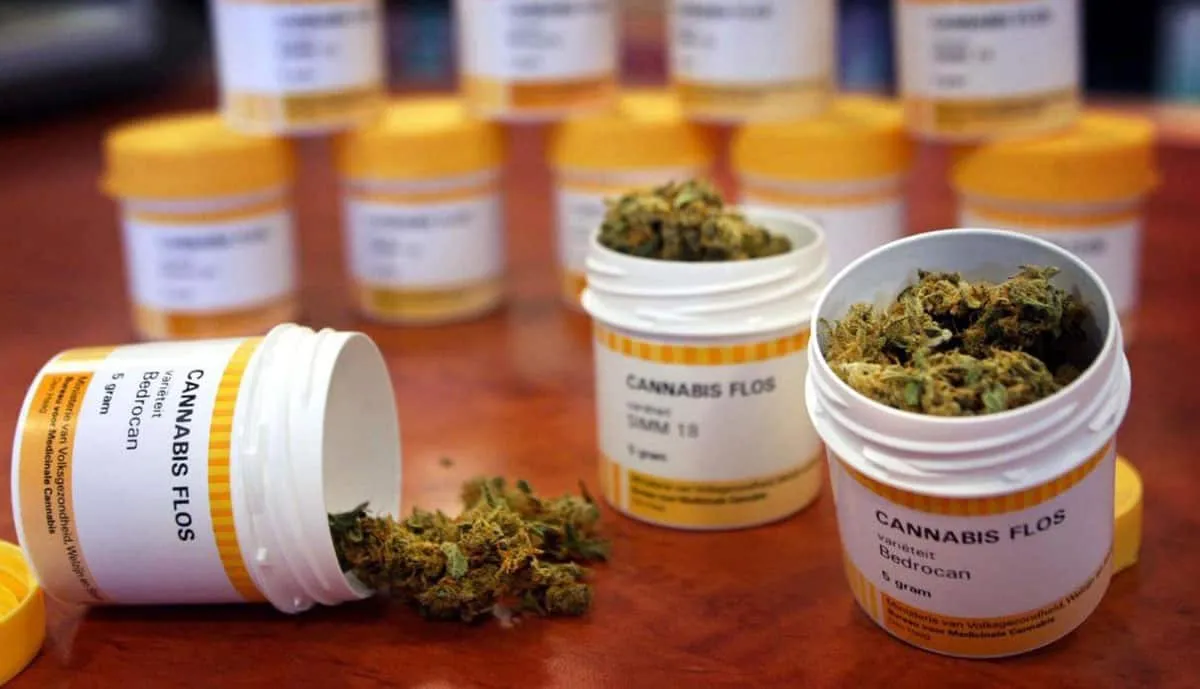 Navigating the World of Cannabis: A Guide to Dispensaries